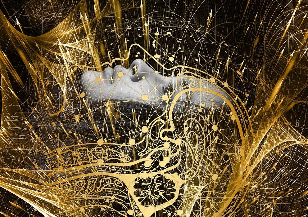 The Science of Sleep - Fact Frenzy .com